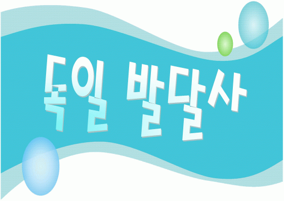 독일 사회복지 발달사 (독일의 사회보장제도와 사회보험)