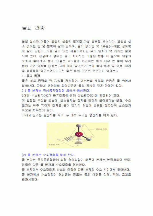 인체에서의 물의 역할