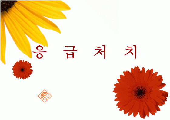응급처치 지혈법 환자 운반 법 소생법 화상 화상과 동상 동상