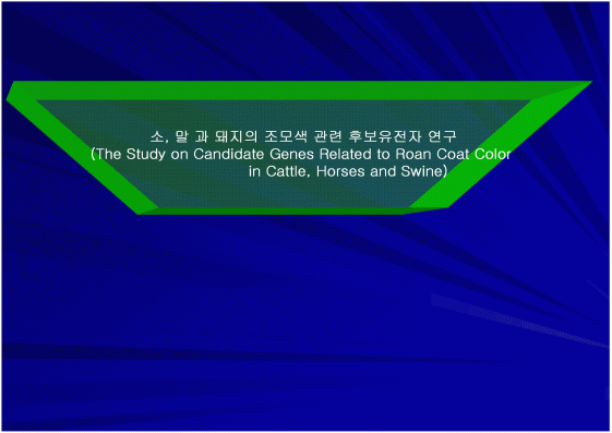 소, 말, 돼지 조모색(roan) 관련 후보유전자
