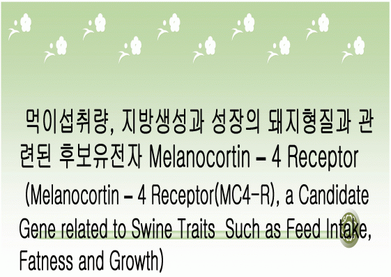 먹이섭취, 지방생성과 성장의 돼지형질과 관련 후보유전자 Melanocortin–4Receptor