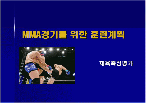 (체육측정평가)종합격투기 경기를 위한 훈련계획