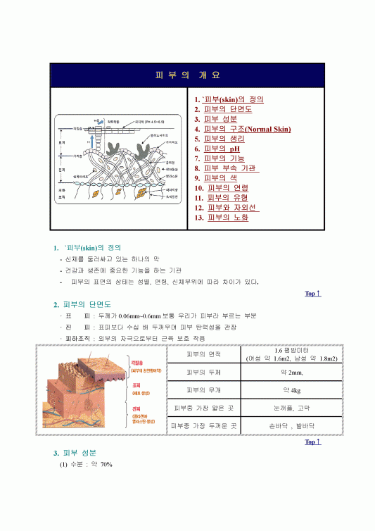 피부의 정의와 성분, 구조, 생리, 기능 및 노화