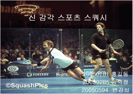 신감각 스포츠 스쿼시
