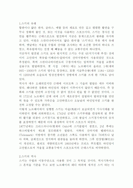 스키 리포트 레포트 자료