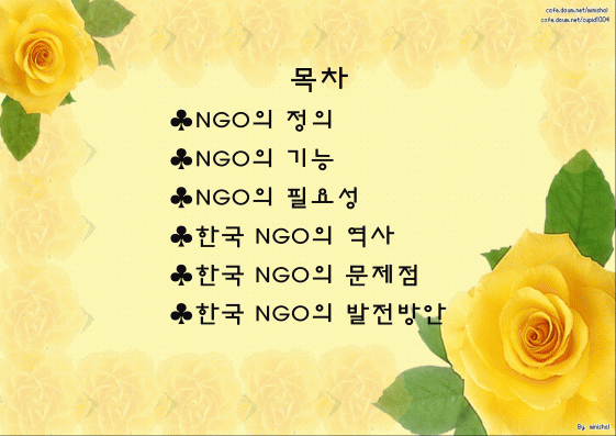 NGO의 정의와 기능 및 필요성 한국의 NGO