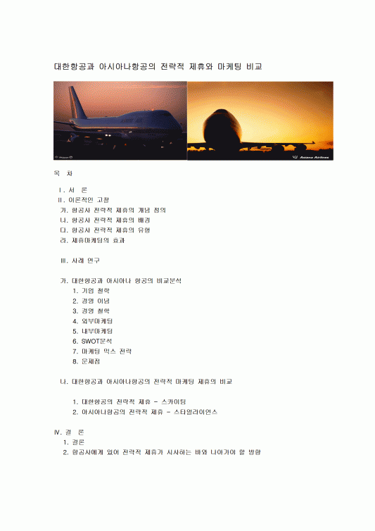 대한항공과 아시아나항공의 전략적 제휴와 마케팅 비교