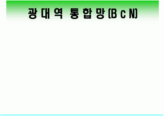 광대역 통합망 (BCN) 기술