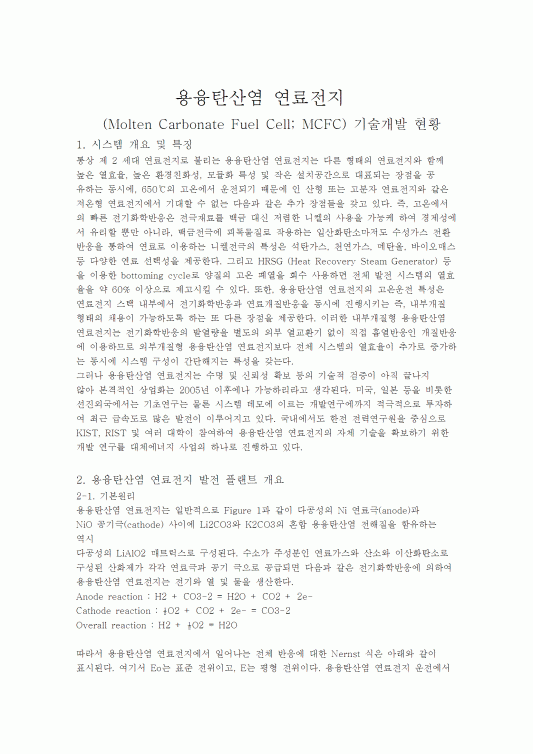 [연료전지] 용융탄산염 연료전지에 대하여