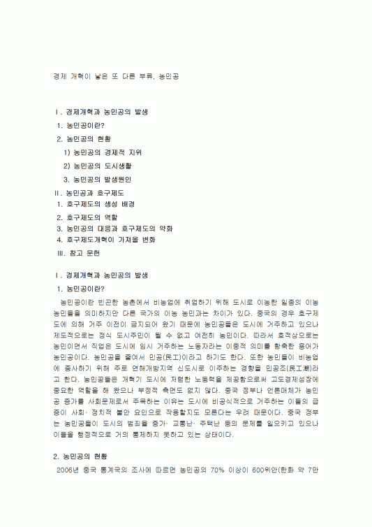 경제 개혁이 낳은 또 다른 부류, 농민공