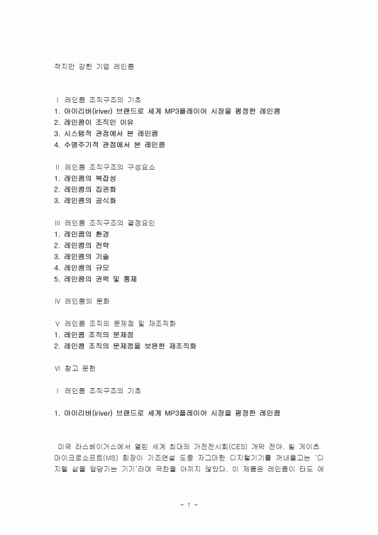 작지만 강한 기업 레인콤