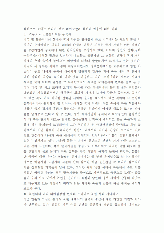 북한으로 보내는 삐라가 갖는 의미고찰과 북한의 반응에 대한 대책