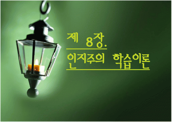 인지(형태)주의 학습이론 (교육학)