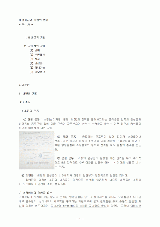 배변기전-배변장애