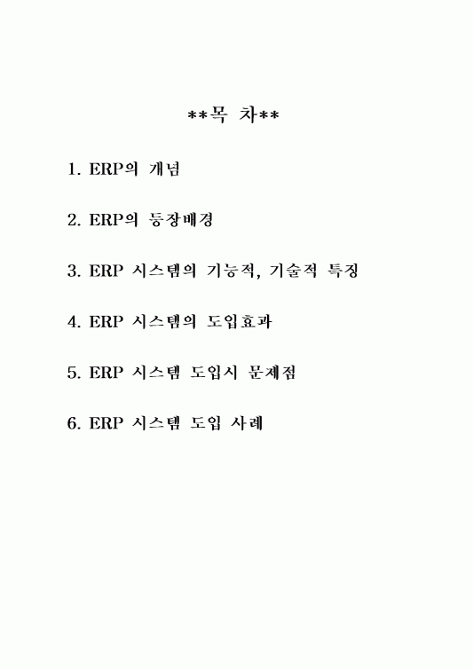 [경영학] ERP 시스템의 개념과 등장배경 및 문제점