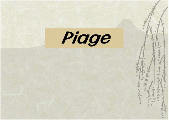 피아제piage 레포트 자료