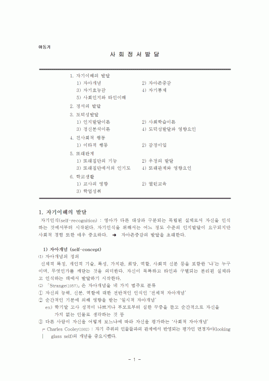 아동기 사회 정서 발달