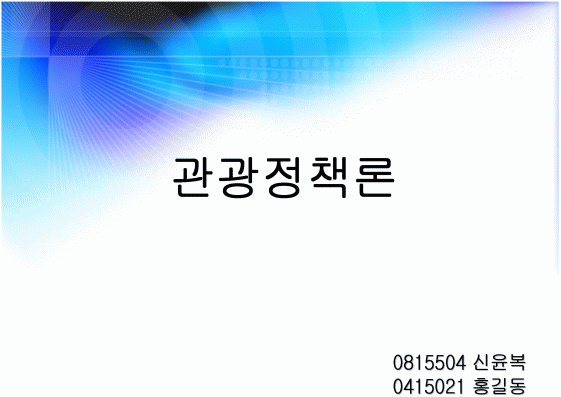 국내관광정책&국제기구조사