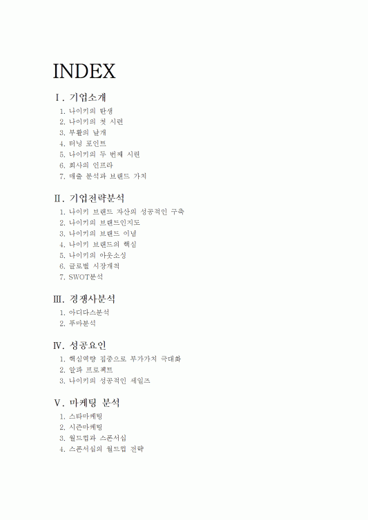 나이키 기업 레포트 자료