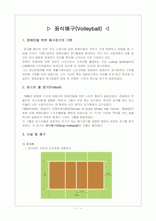 좌식배구 레포트 자료