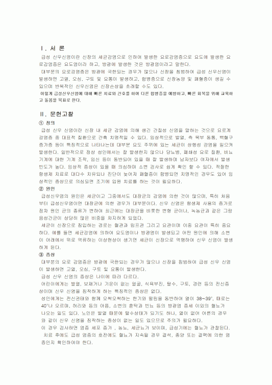 신우신염CASE 레포트 자료