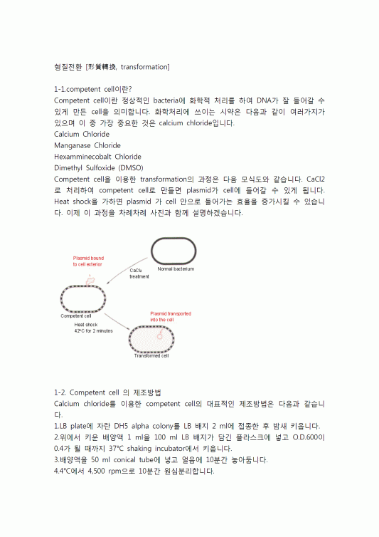 [생물학] 미생물 형질 전환(Competent cell transformation) 실험