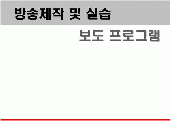 보도프로그램 문제점