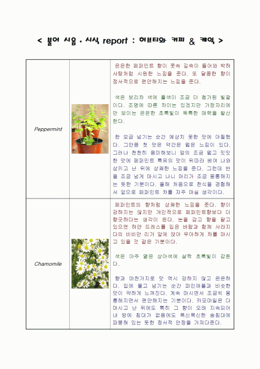 불어 시음·시식 report : 허브티와 커피 & 케익