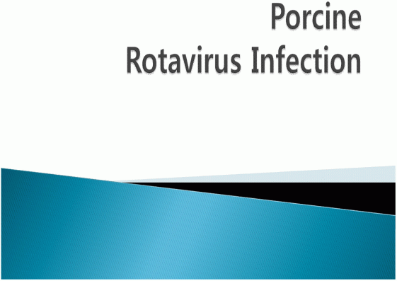 Rotavirus Infection에 관한 팀프로젝트 피피티 발표자료// 수의학과 학생들이 직접 제작