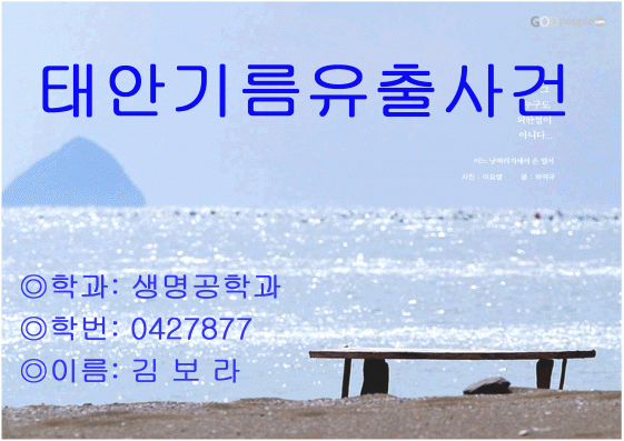태안기름 유출 사건과 생태계의 연관성 PPT
