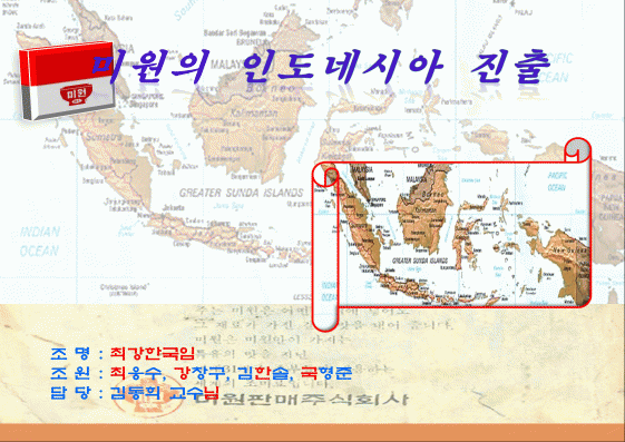 미원의 인도네시아 진출 전략