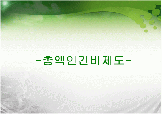 총액인건비제도에 대한 심층 고찰