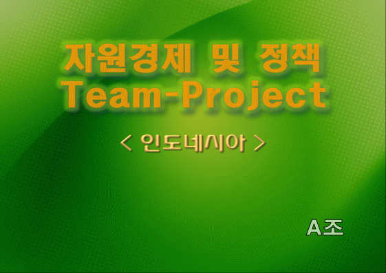 인도네시아의 자원/에너지 정책