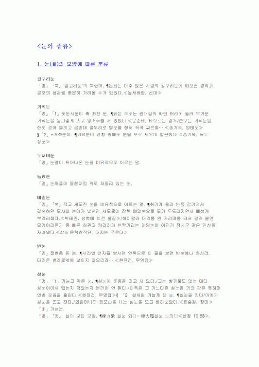 눈의 종류 레포트 자료