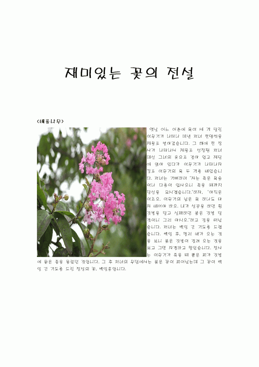 꽃의 전설 레포트 자료