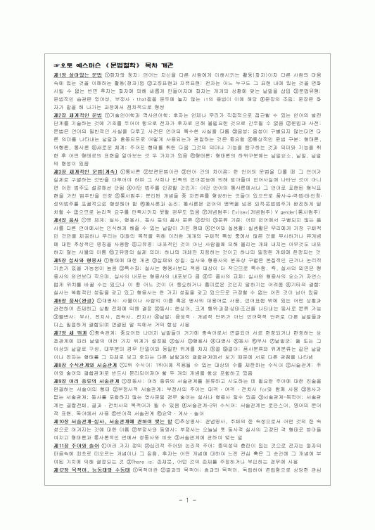 국어문법론 예스퍼슨의 문법철학 감상문.hwp