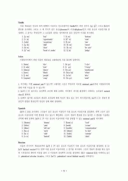 phonology 요약 레포트 자료