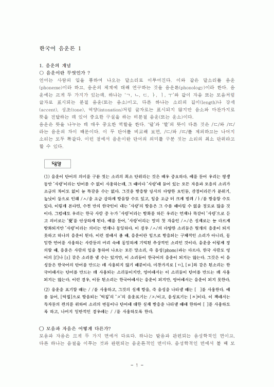국어 음운론 레포트 자료