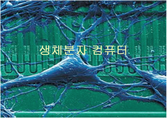 생체분자컴퓨터