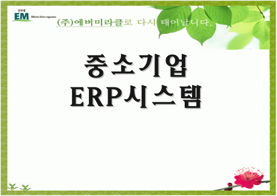 에버미라클의ERP시스템