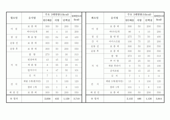 1주일 식단 레포트 자료