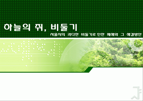 서울시의 과다한 비둘기의 폐해와 그 해결방안(파워포인트 발표 자료)