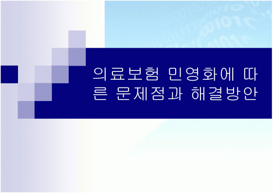 의료보험 민영화에 따른 문제점과 해결방안
