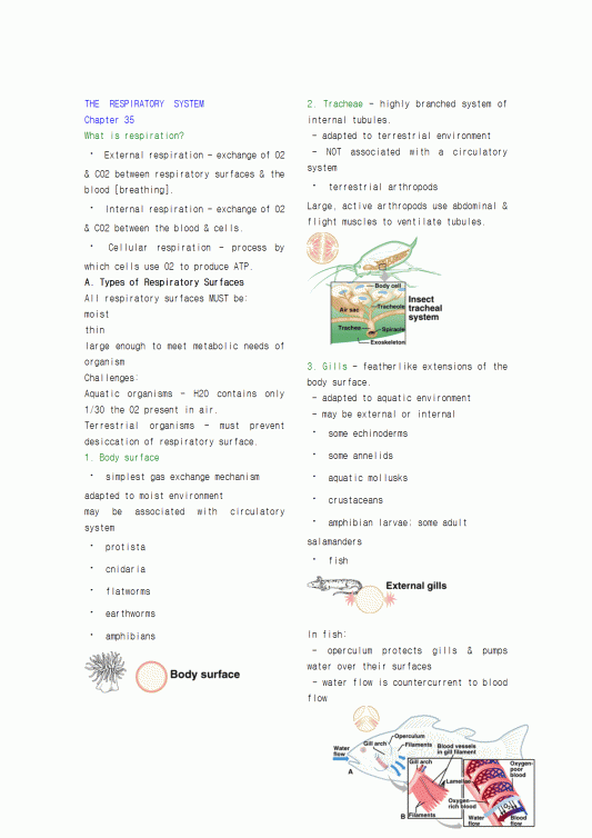 호흡계 THE  RESPIRATORY  SYSTEM Chapter 35