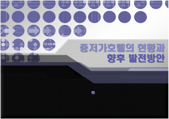 [관광학개론]국내 중저가호텔의 현황과 문제점 및 발전방안