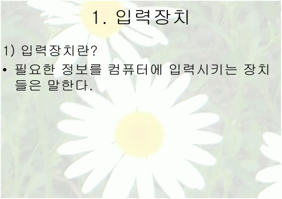 교육용 소프트웨어