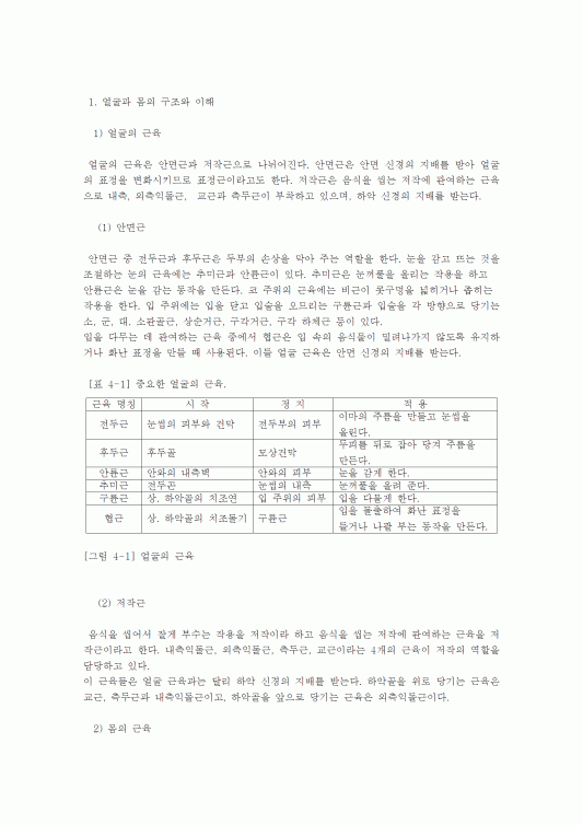얼굴과 몸의 구조와 이해