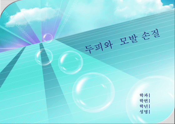 두피와  모발 손질