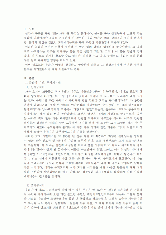 문화의 발생과 발달, 그 성취와 문제점