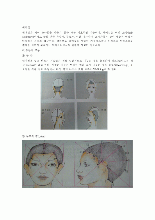 헤어컷트 레포트 자료